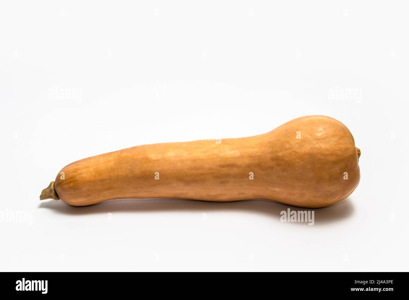 Uncooked sliced butternut squash hi-res stock photography and images ...