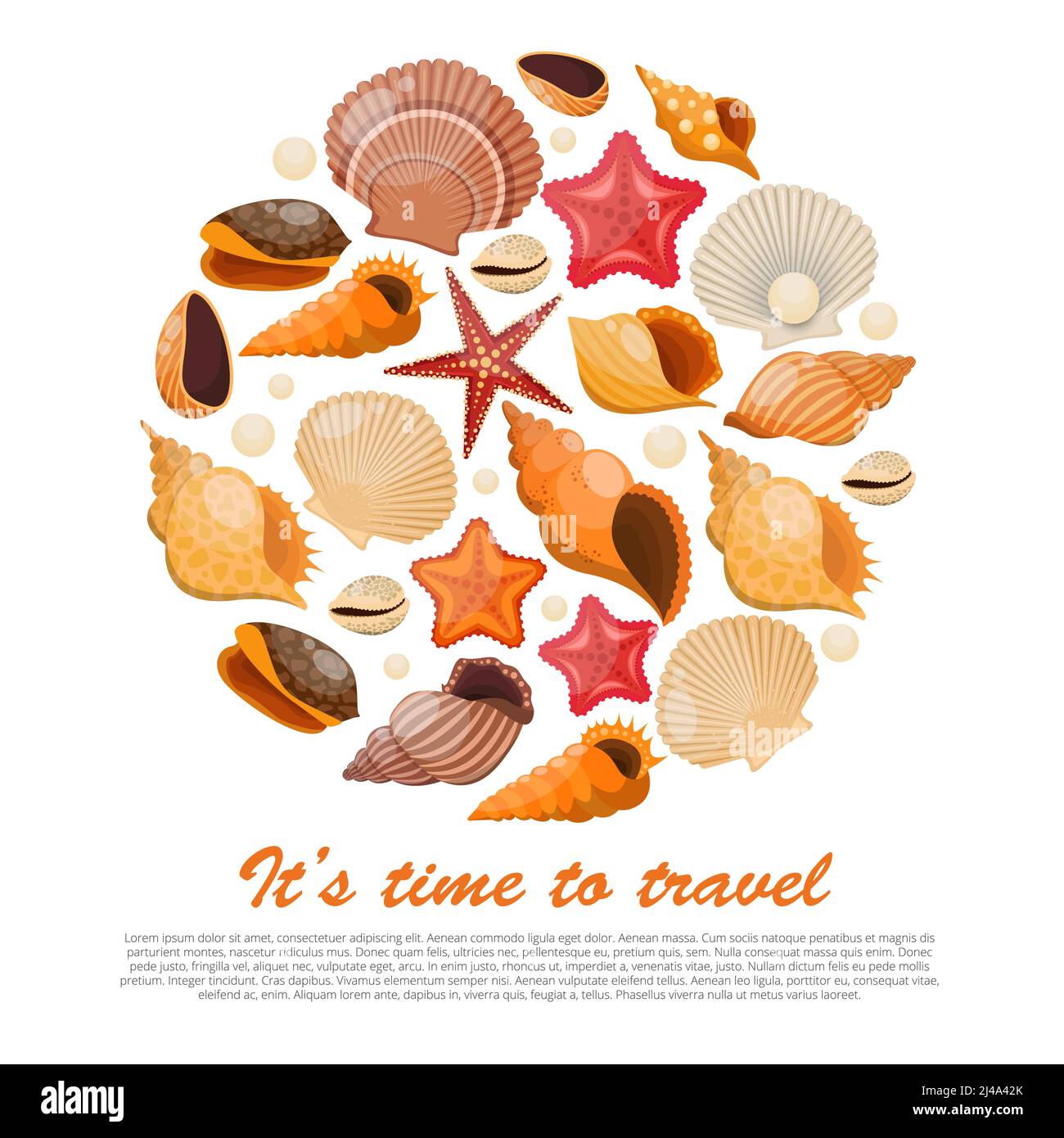 Concept shells and sea stars with isolated icon set combined in round ...