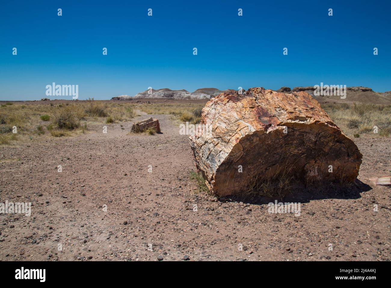 Desert backdrop hi-res stock photography and images - Alamy