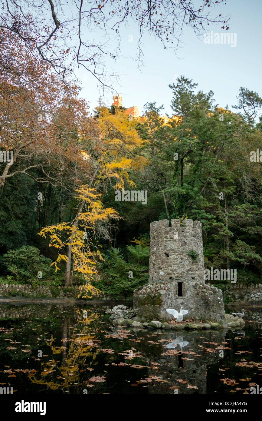 Pond in the garden of Palace of Pena, Jardins do Parque da Pena in ...