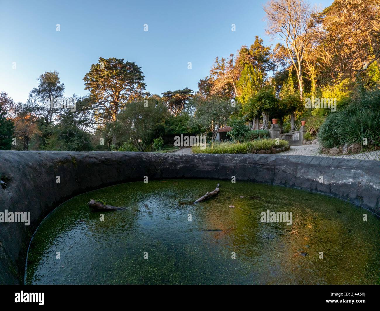 Pond in the garden of Palace of Pena, Jardins do Parque da Pena in ...