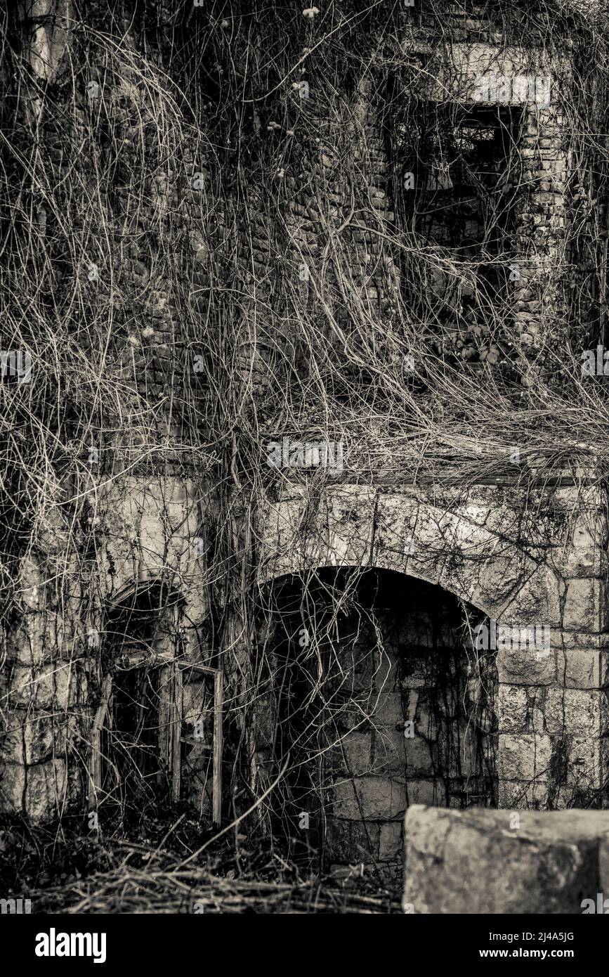 Scruffy structure hi-res stock photography and images - Alamy