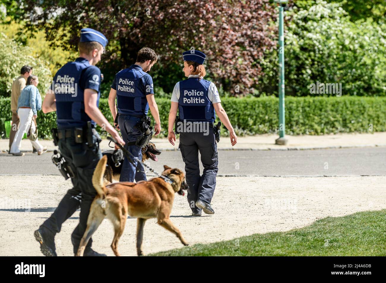 Canine police patrol hi-res stock photography and images - Alamy