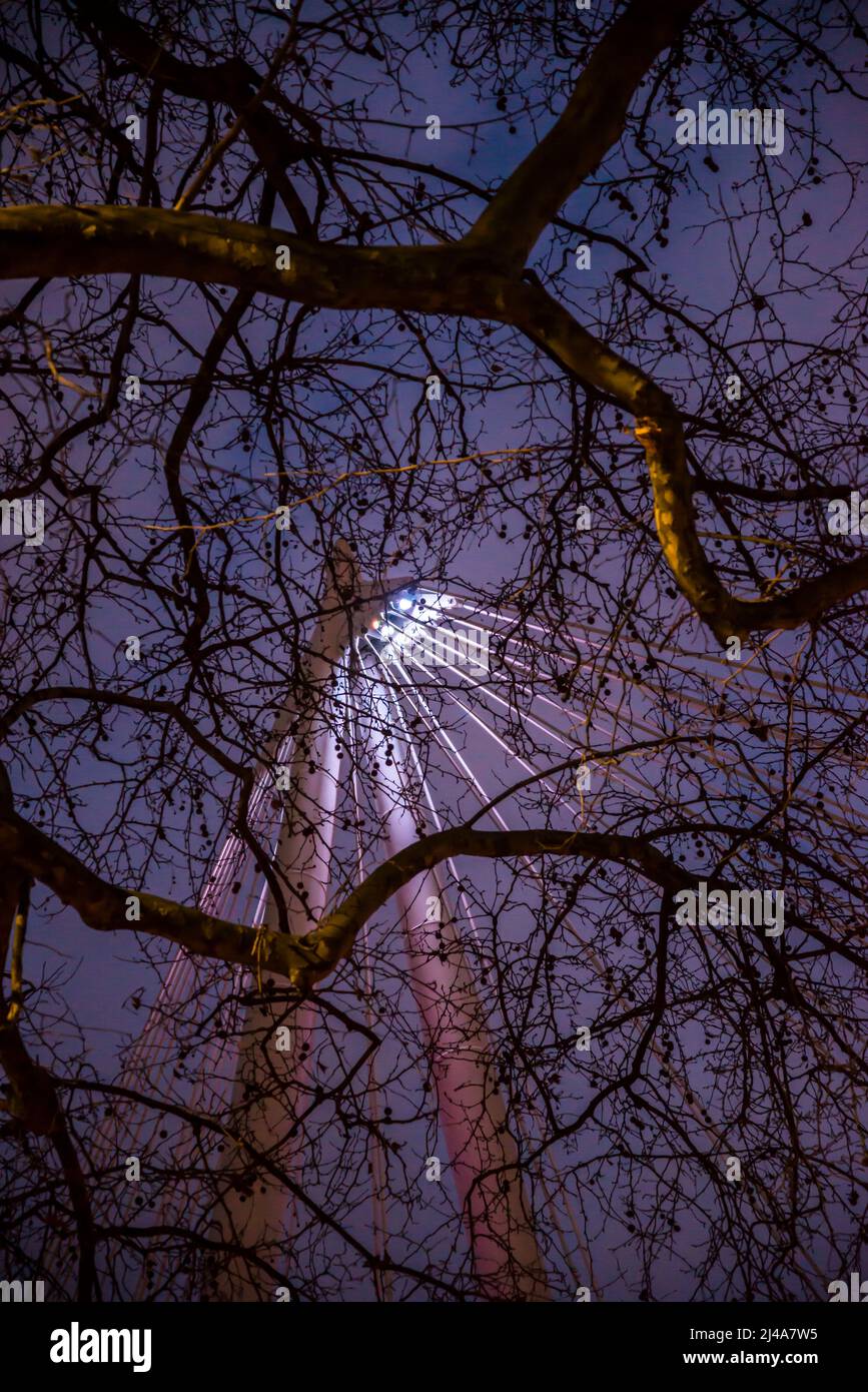 Tree and street light on Hungerford Bridge, London, England, UK Stock ...