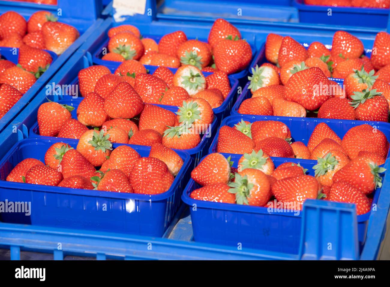 Small bowls with strawberries at a farm shop, Prime Minister Henrik ...
