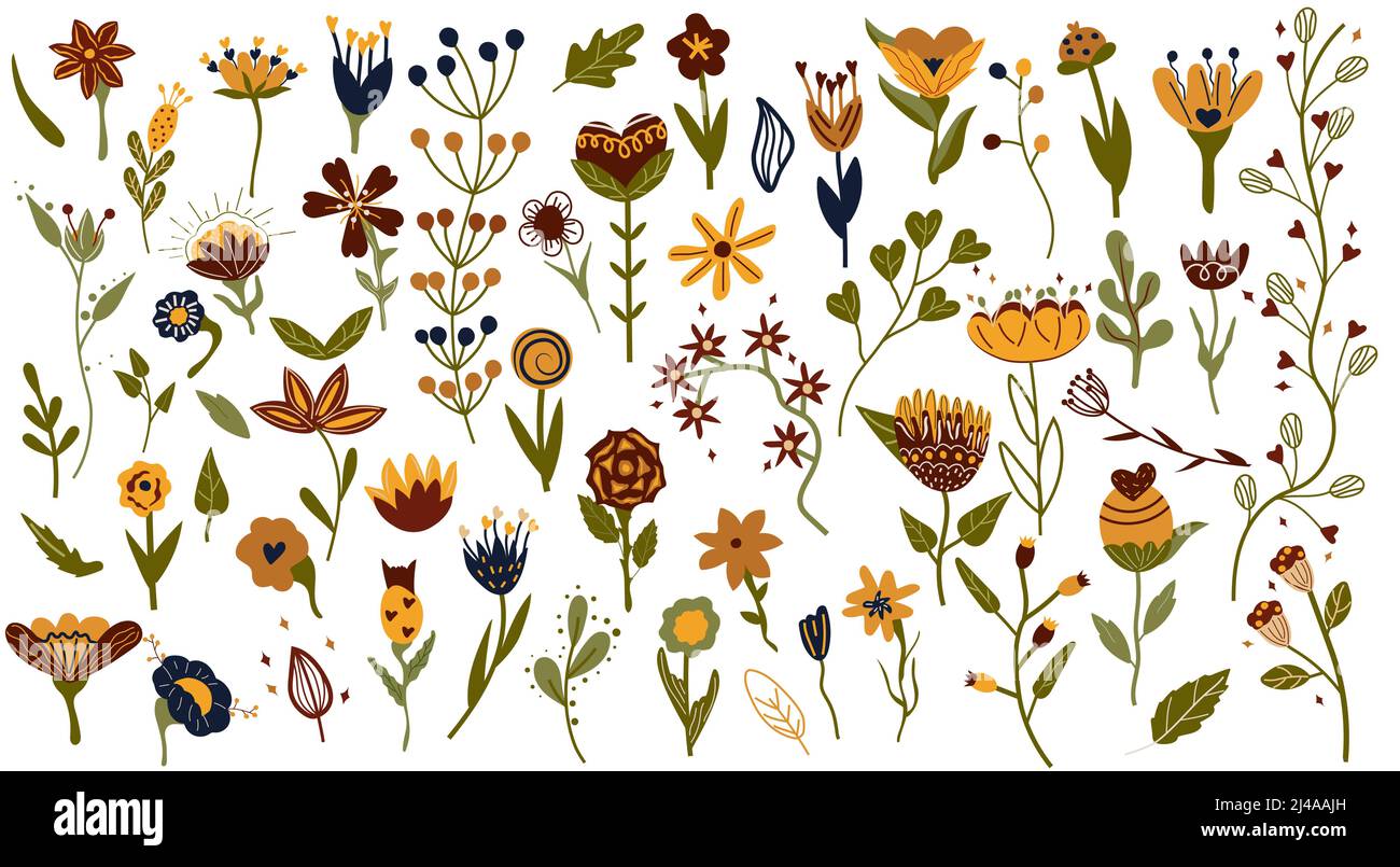 Big Botanical set of wildflowers, garden plants, branches, herbs ...