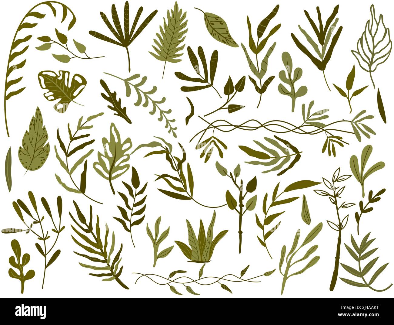 Big Botanical set of green leaves, branches, herbs, decorative leaves ...
