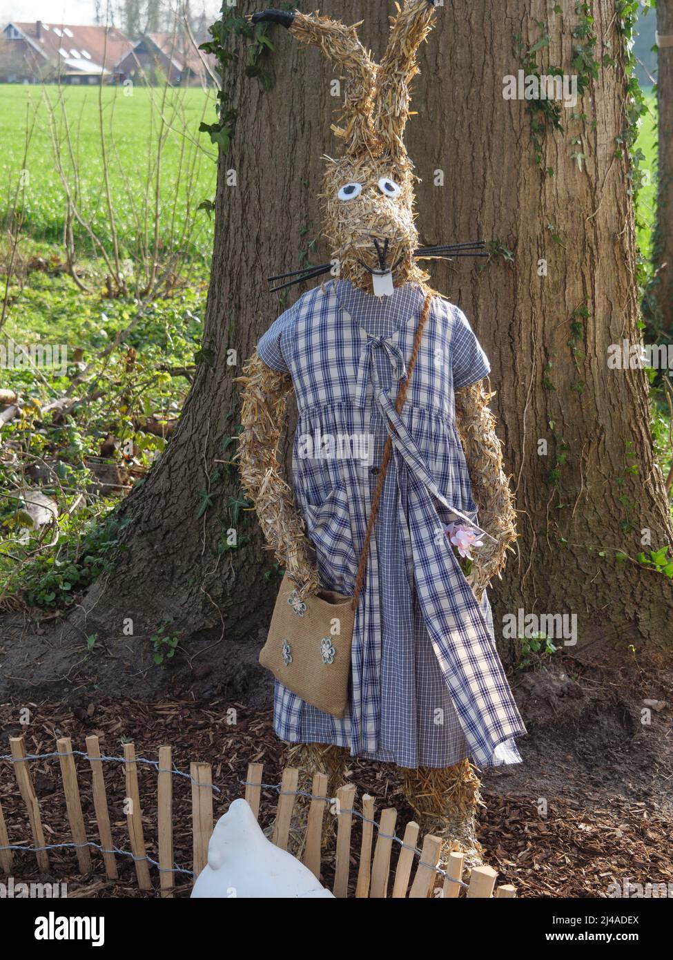 easter bunnies in the german muensterland Stock Photo - Alamy