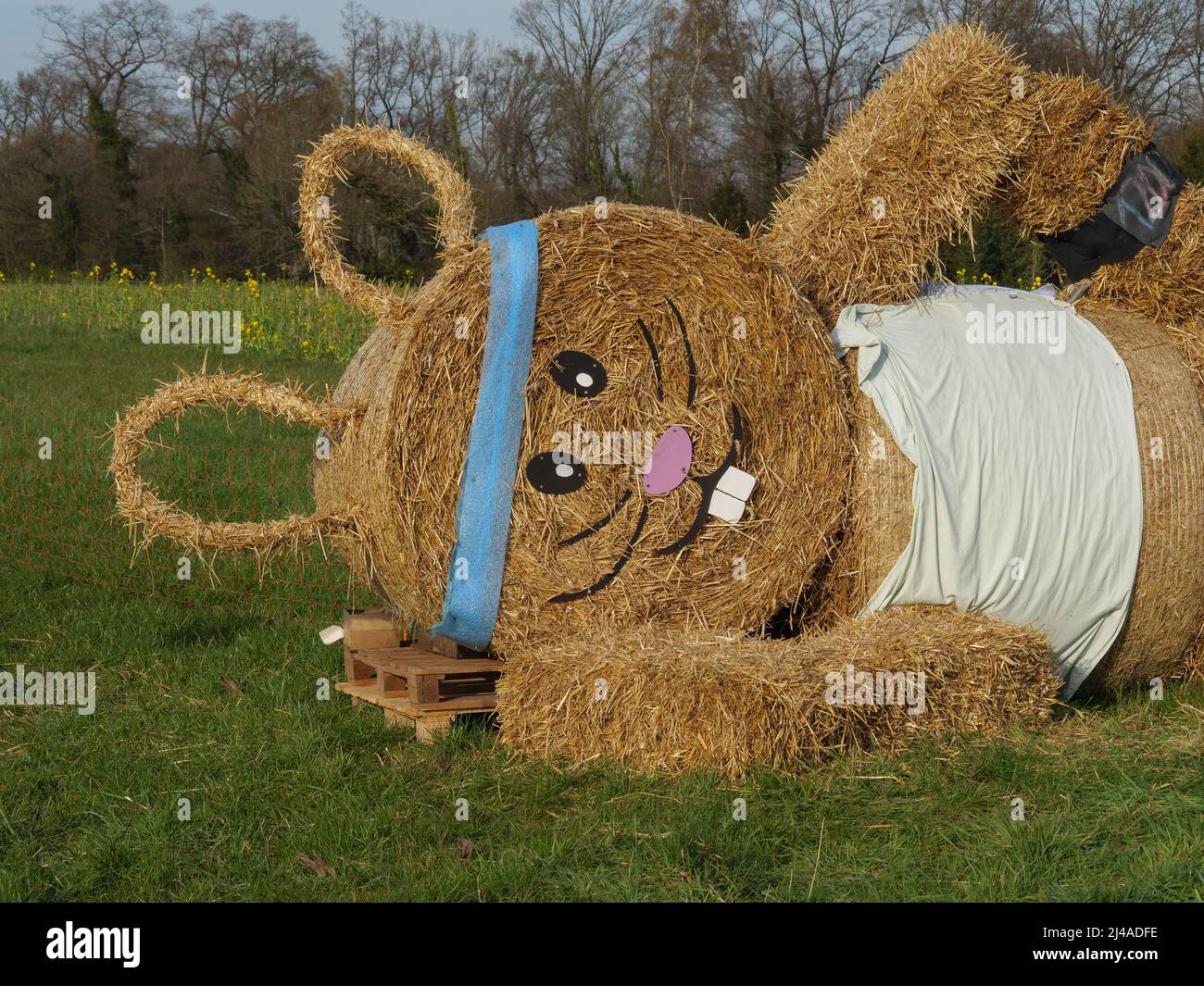 easter bunnies in the german muensterland Stock Photo - Alamy