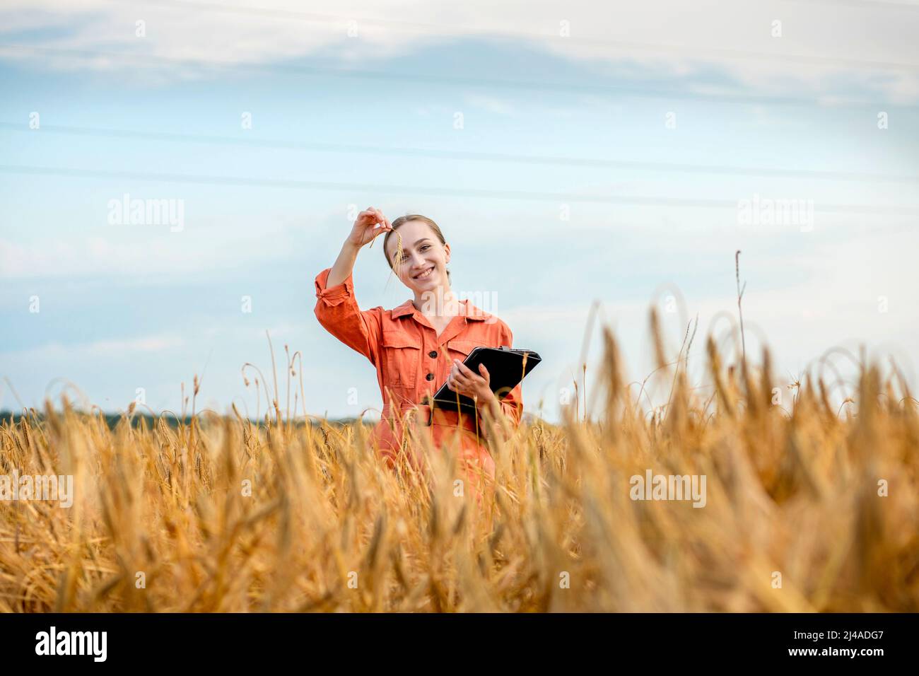 Agronomist holding test tube with barley grains in field, closeup ...