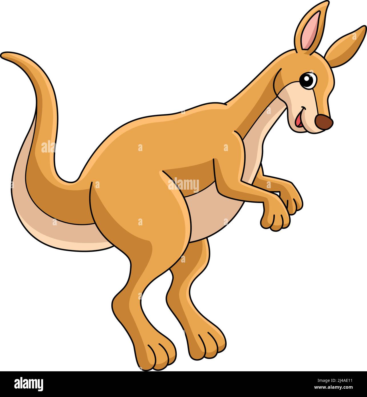 Kangaroo Animal Colored Cartoon Illustration Stock Vector Image & Art ...