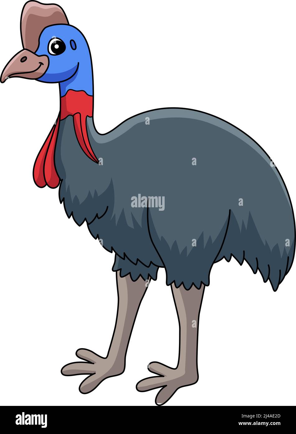 Cassowary Animal Cartoon Colored Clipart Stock Vector Image & Art - Alamy