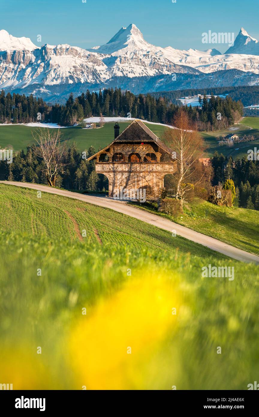 traditional Bernese farmhouse called Stöckli in front of the mighty ...