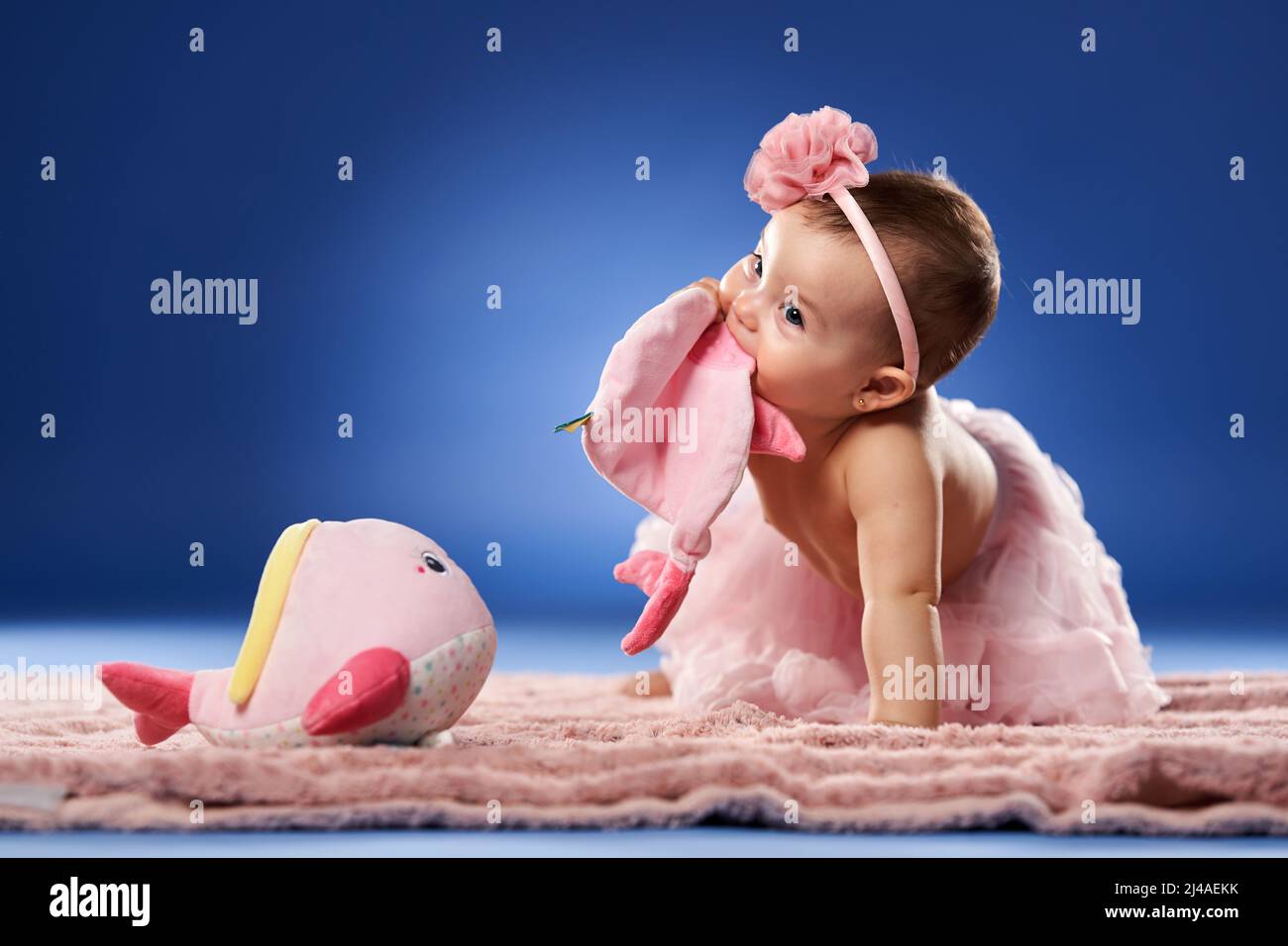 Closeup of an adorable little girl in her first year, studio shot on ...