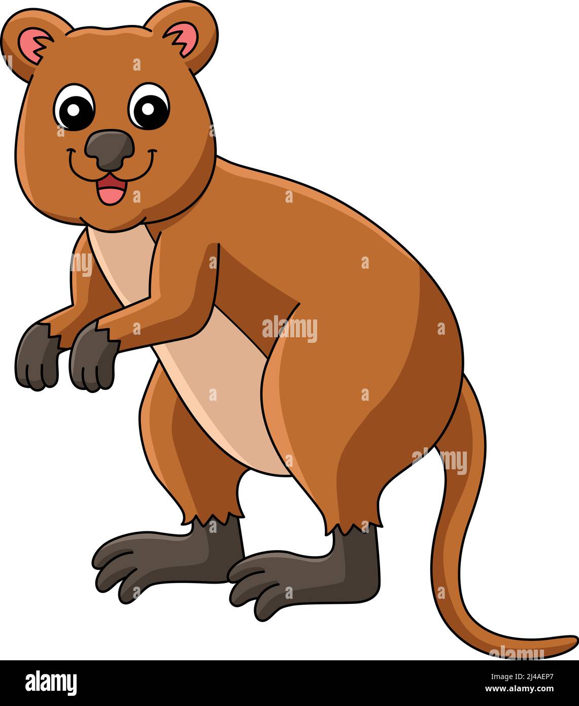 Quokka Animal Cartoon Colored Clipart Illustration Stock Vector Image ...