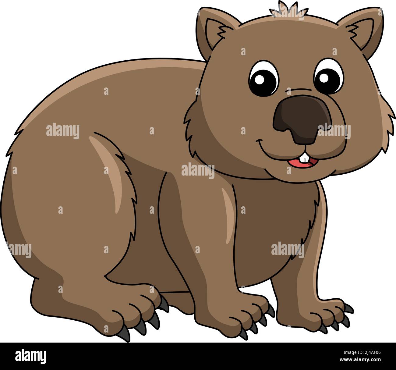 Wombat Animal Cartoon Colored Clipart Illustration Stock Vector Image ...