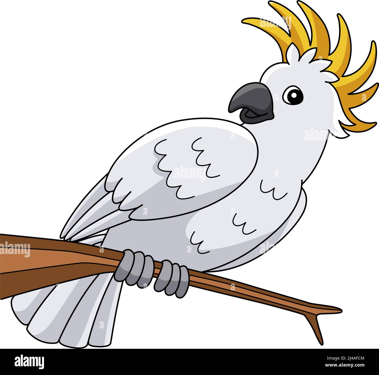 Cockatoo Animal Cartoon Colored Clipart Stock Vector Image & Art - Alamy