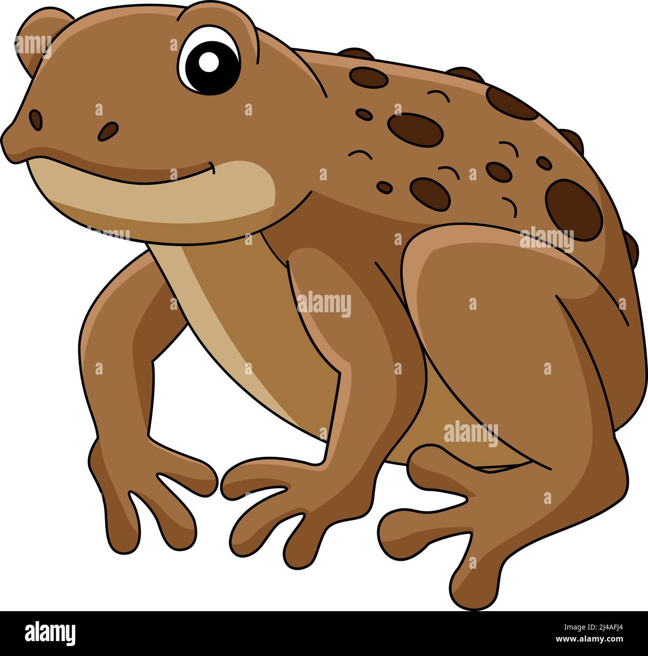 How To Draw A Cane Toad