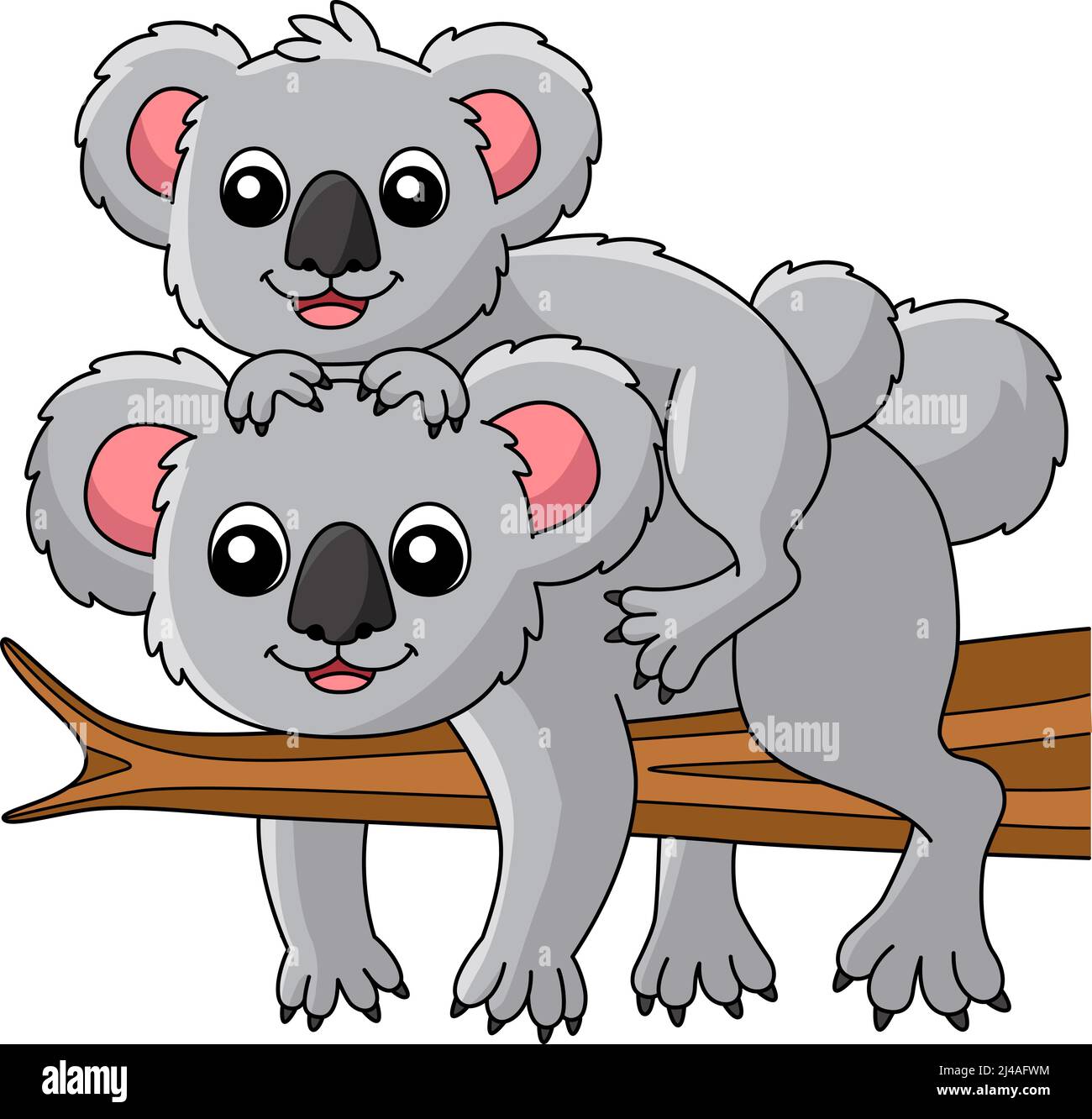 Koala Baby Cartoon