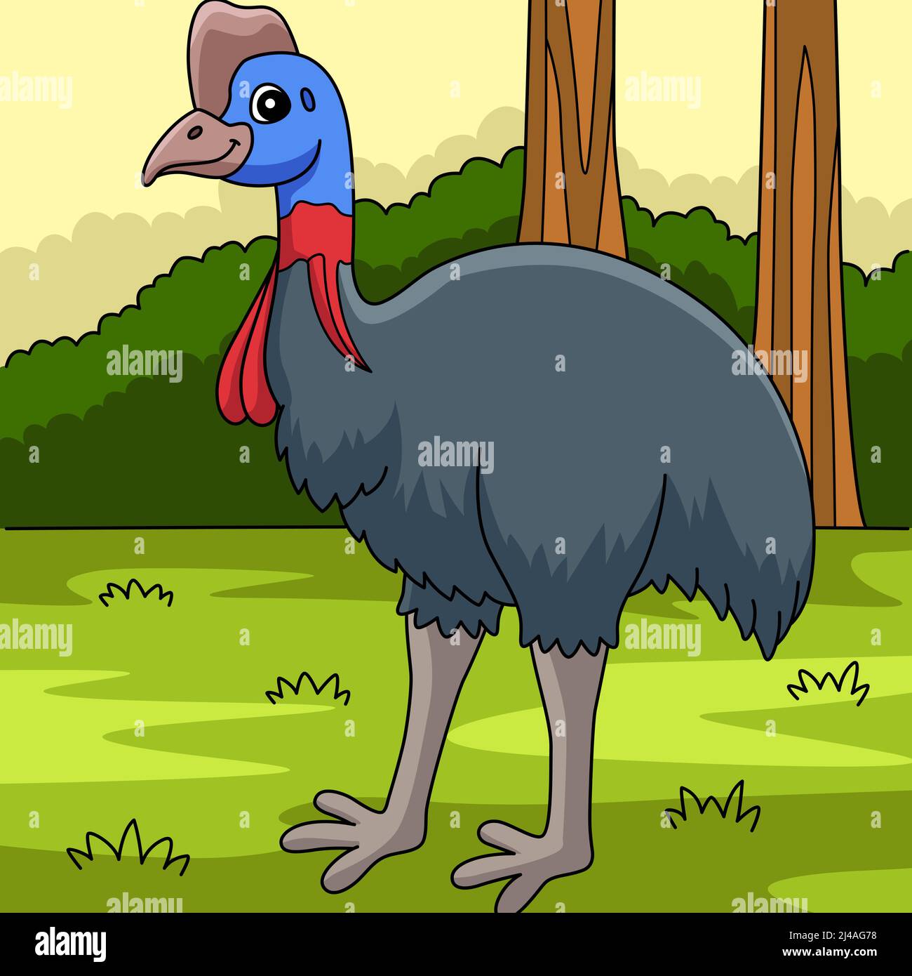 Cassowary Animal Colored Cartoon Illustration Stock Vector Image & Art ...