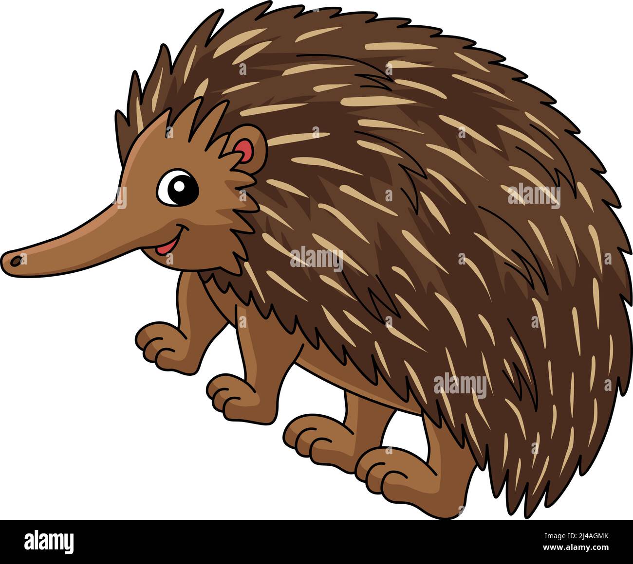 Echidna Animal Cartoon Colored Clipart Stock Vector Image & Art - Alamy
