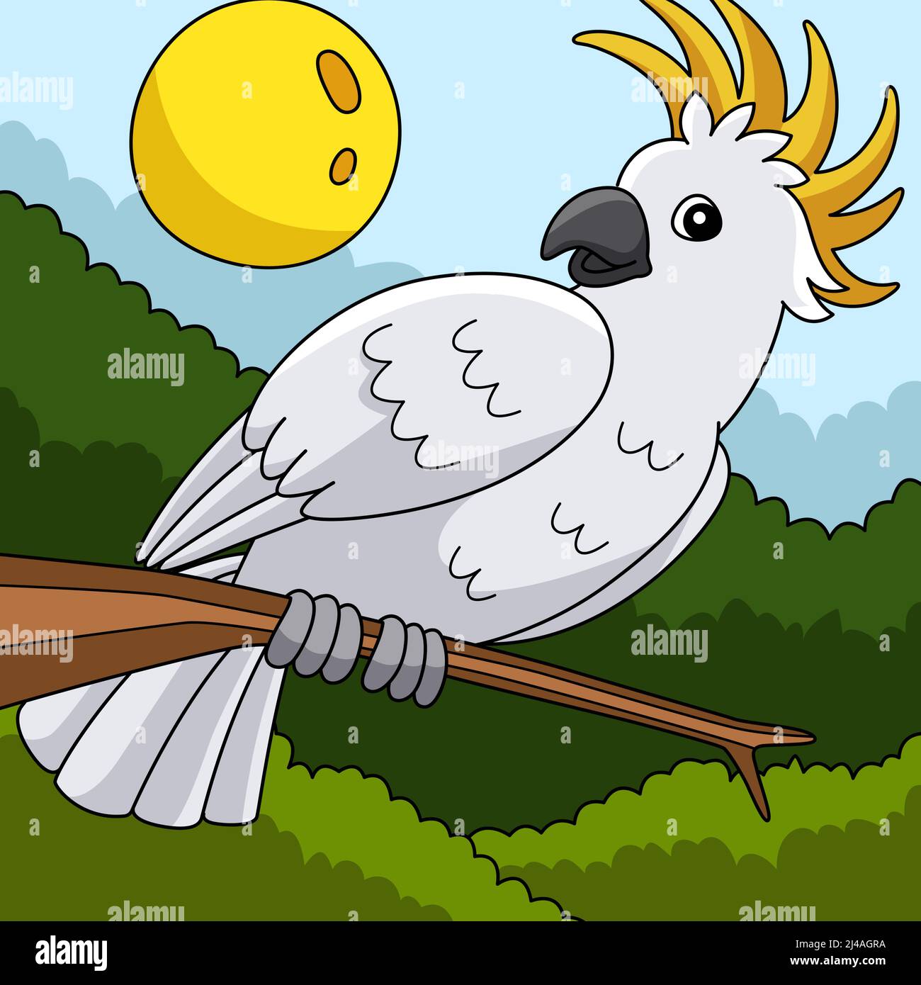 Cockatoo Animal Colored Cartoon Illustration Stock Vector Image & Art ...