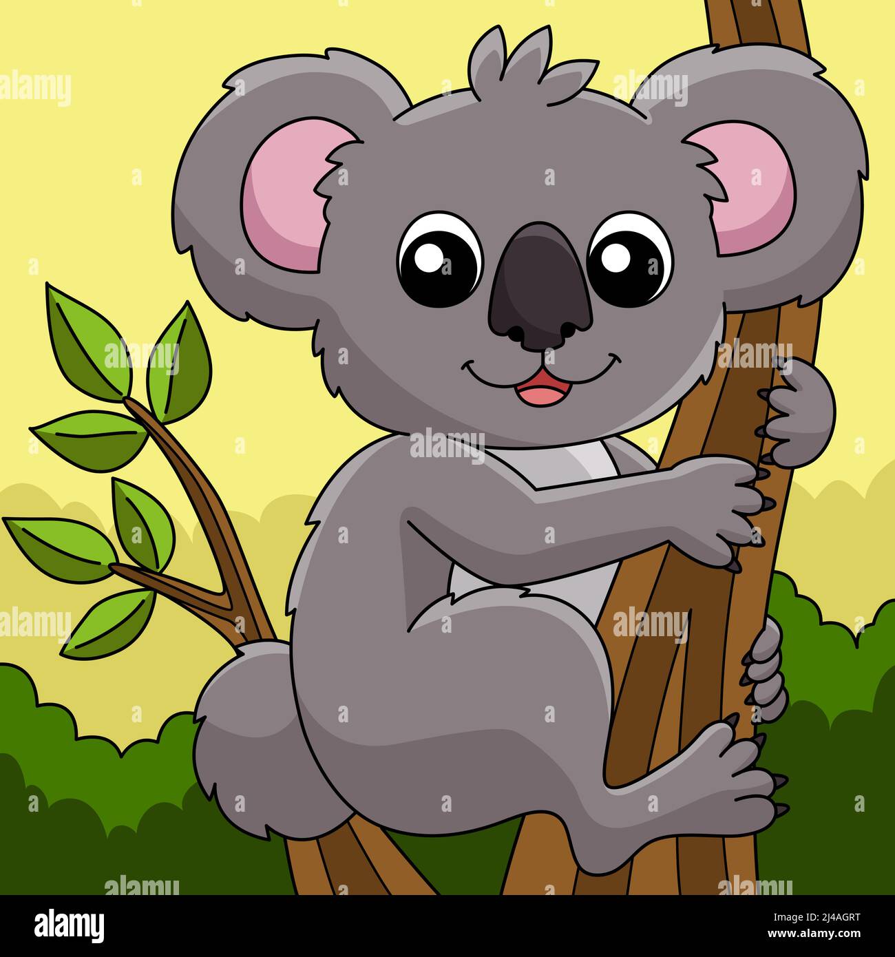 Koala Animal Colored Cartoon Illustration Stock Vector Image & Art - Alamy