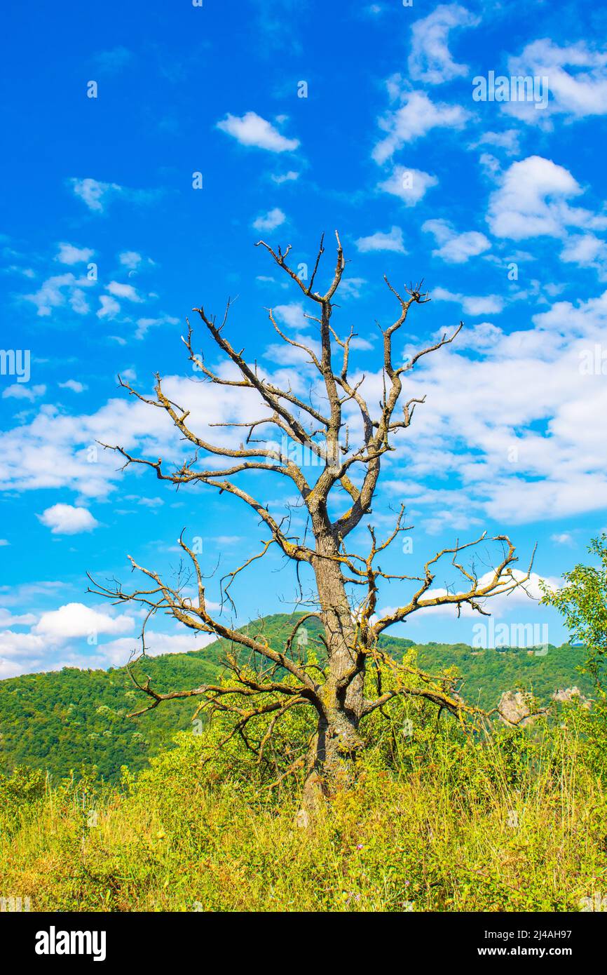 Vacha dam hi-res stock photography and images - Alamy