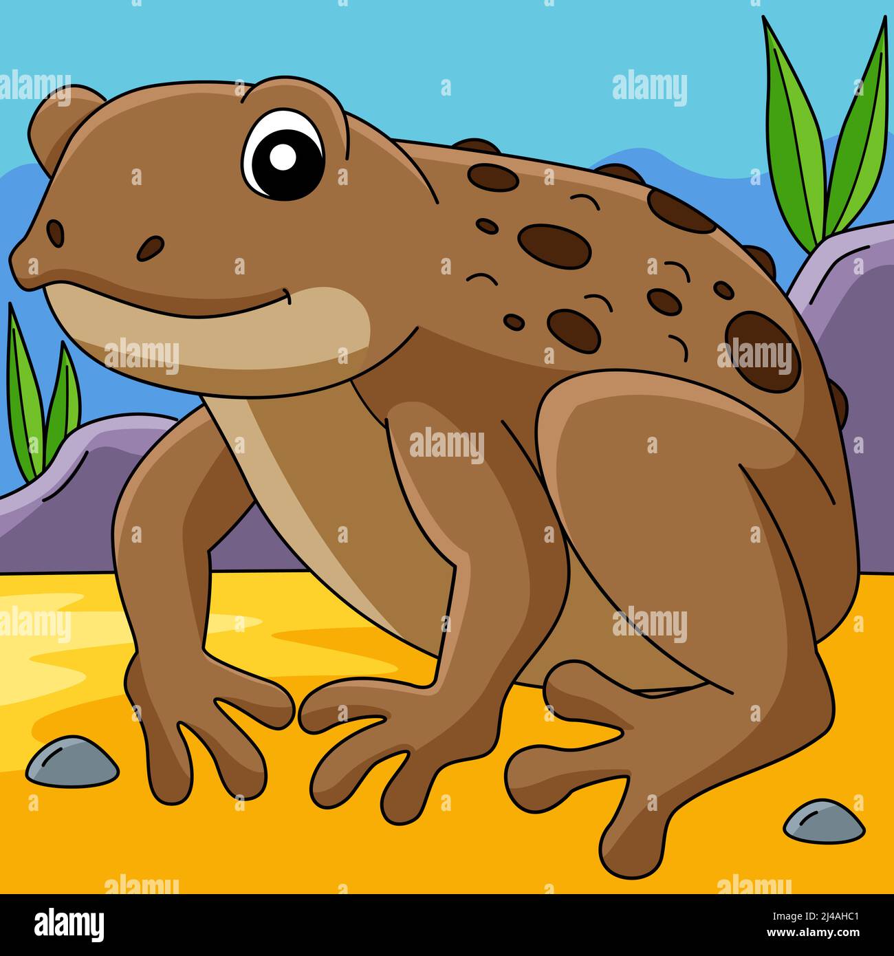 Cane Toad Frog Animal Colored Cartoon Illustration Stock Vector Image & Art - Alamy