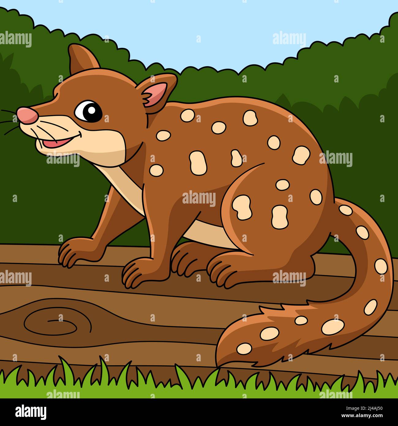 Tiger Quoll Animal Colored Cartoon Illustration Stock Vector Image ...