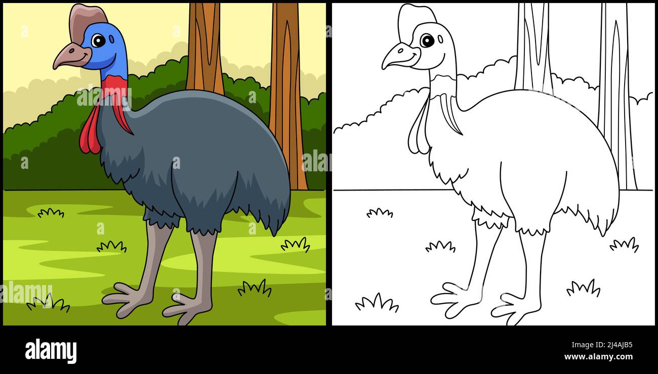 Cassowary Bird Animal Coloring Page Illustration Stock Vector Image ...