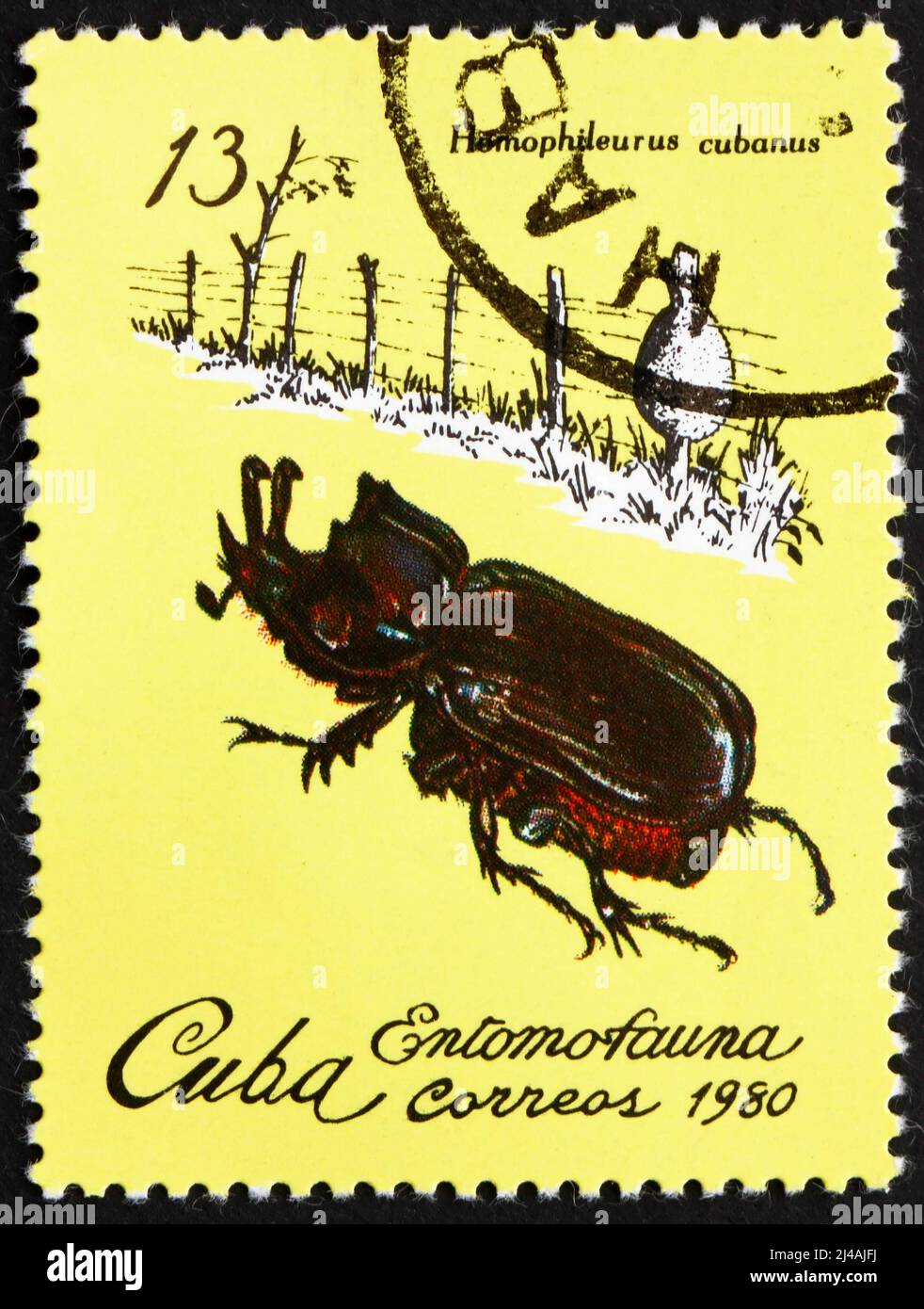CUBA - CIRCA 1980: a stamp printed in the Cuba shows Homophileurus ...