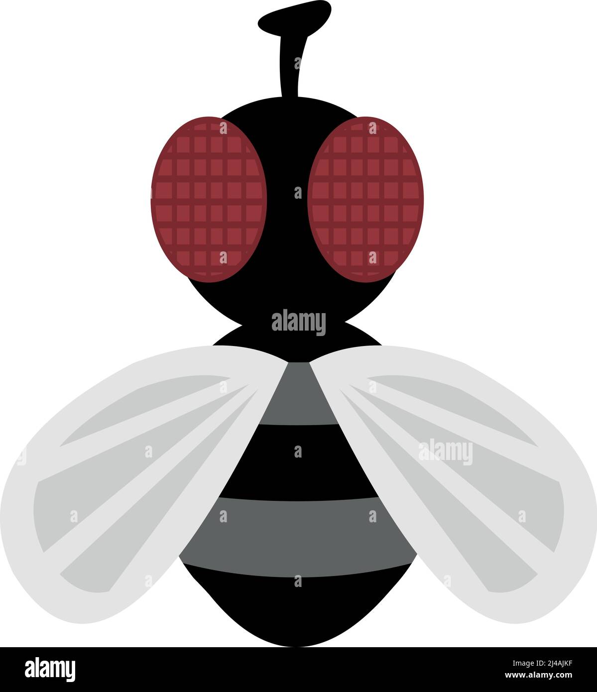 Vector illustration of a fly insect Stock Vector Image & Art - Alamy