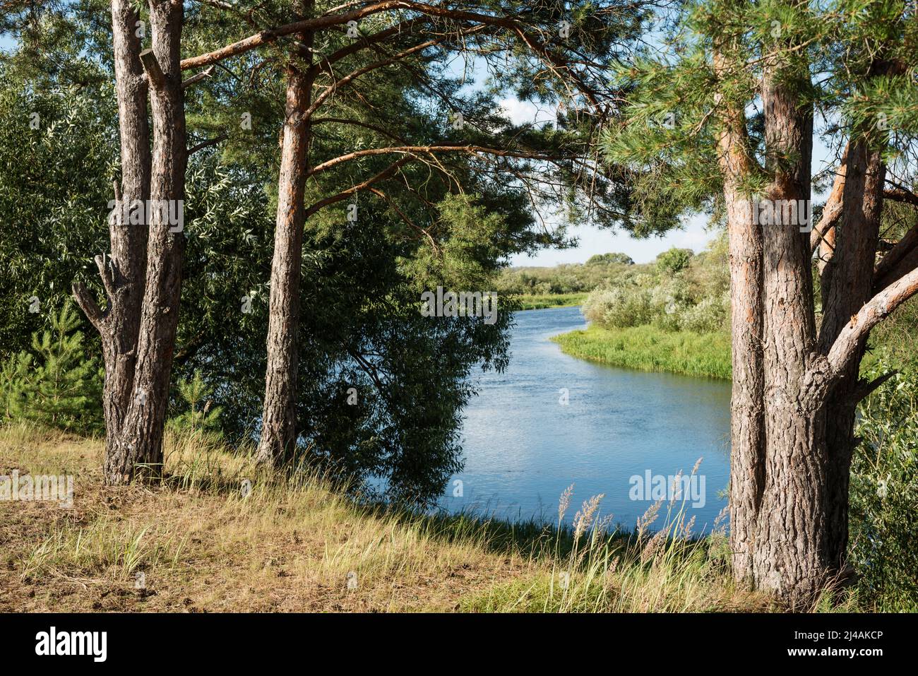 Banks of the berezina river hi-res stock photography and images - Alamy