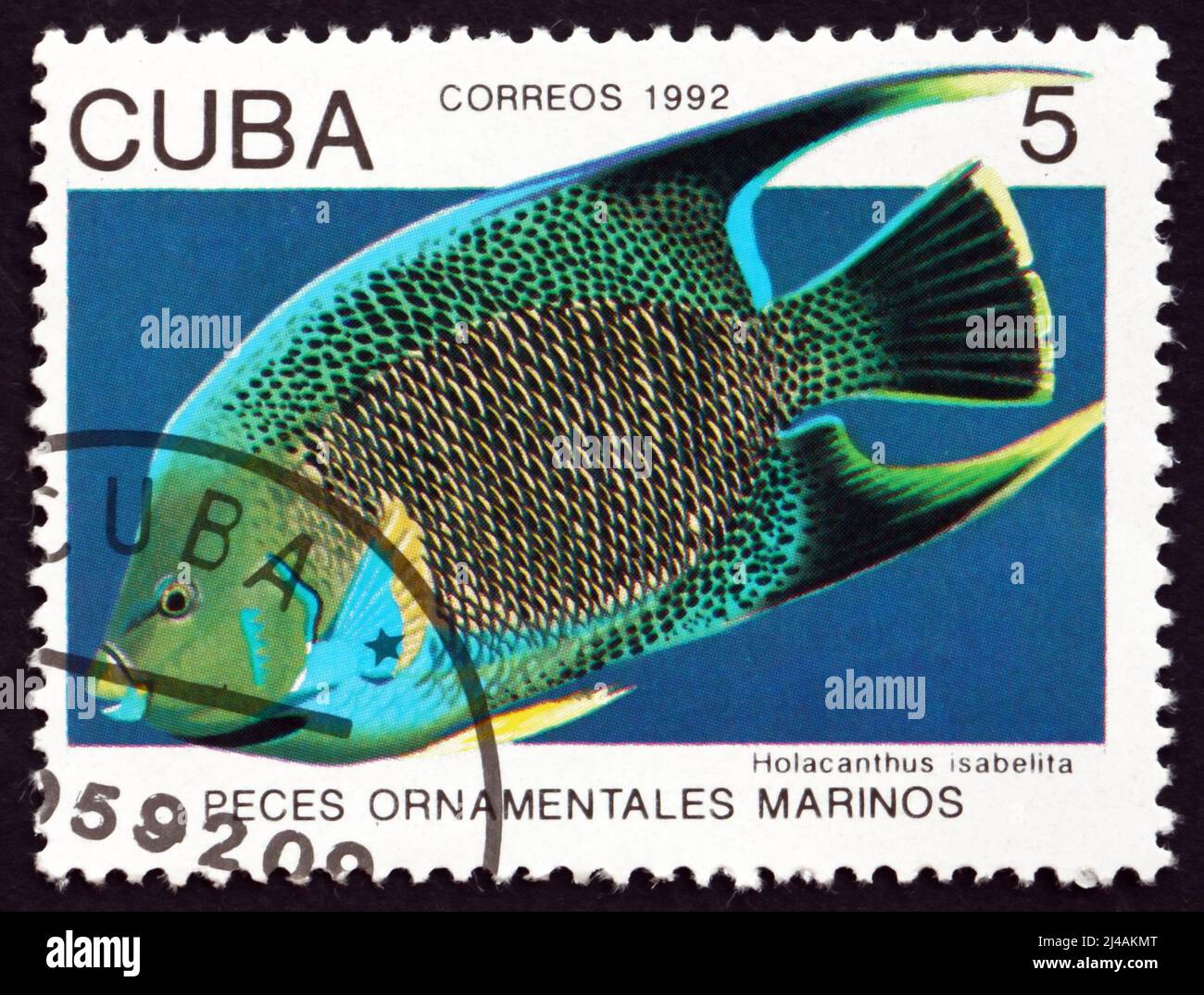 CUBA - CIRCA 1992: a stamp printed in the Cuba shows Blue Angelfish ...
