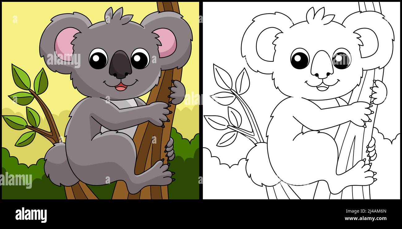 Koala Animal Coloring Page Colored Illustration Stock Vector Image ...