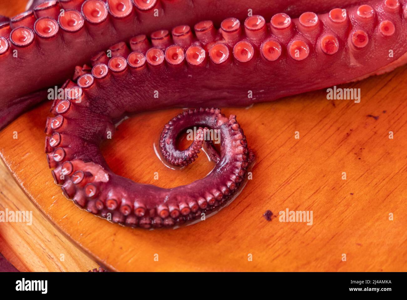 Octopus tentacles cooked Pulpo a Feira style, recipe from Galicia ...
