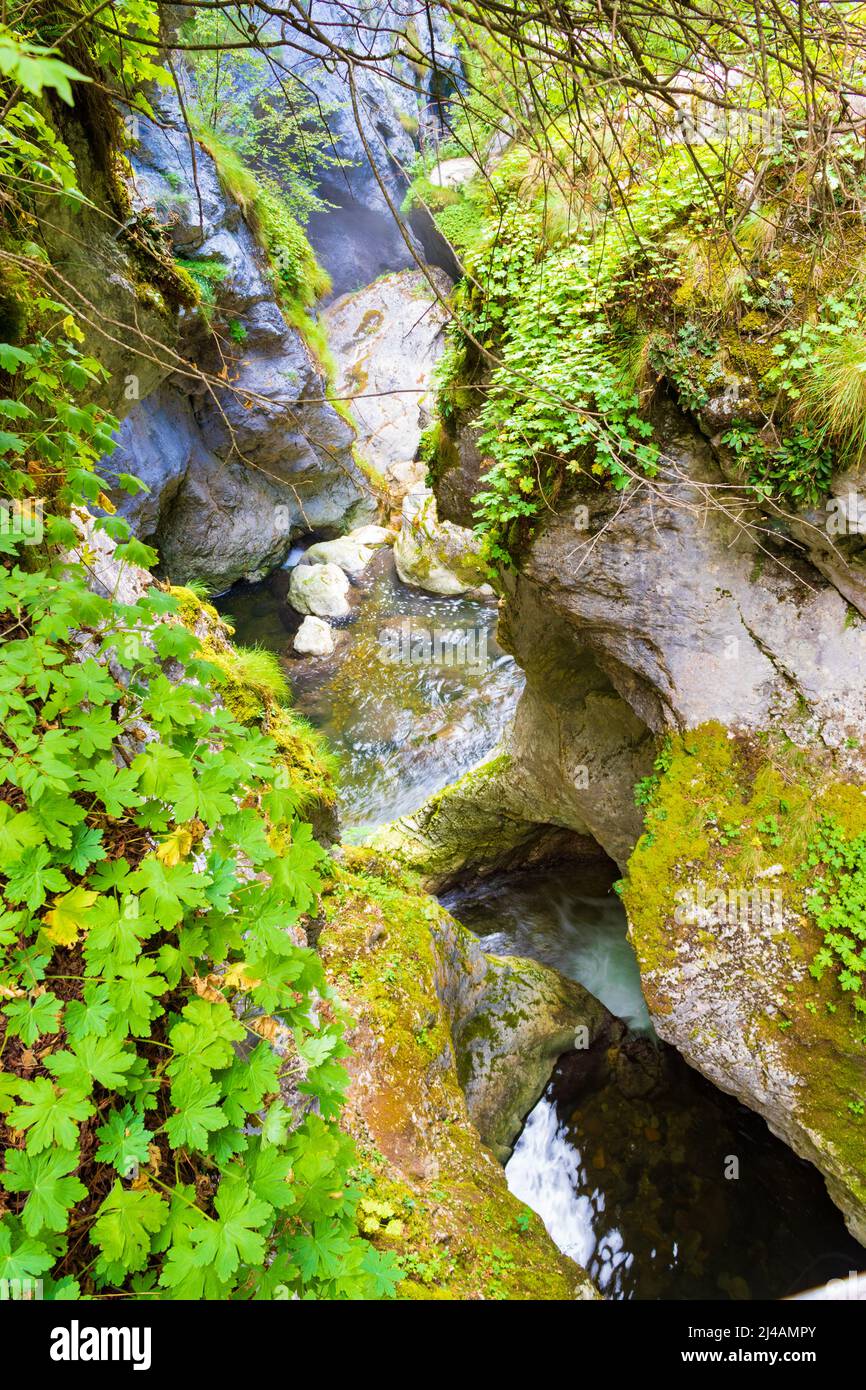 View of Trigradsko Gorge.The gorge is a vertical limestone rocks that ...