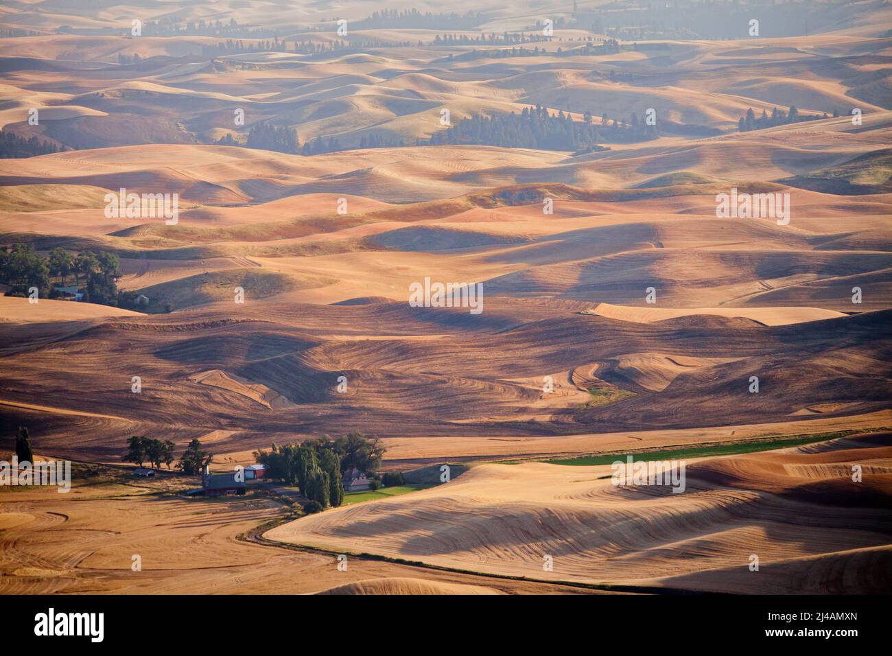 A view of the Palouse from the top of Steptoe Butte in eastern ...