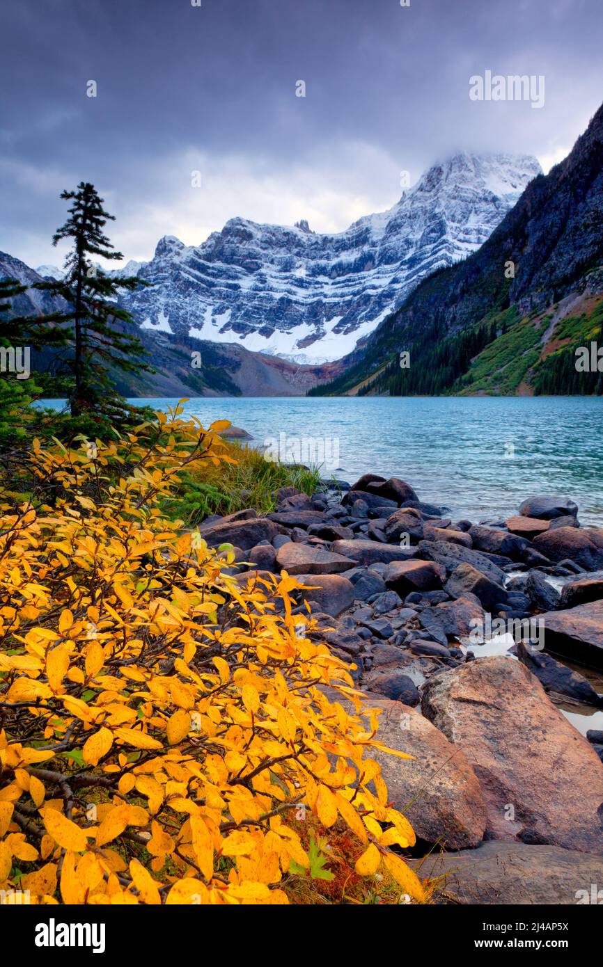 Mount Chephren and Chephren Lake on the Icefields Parkway, Banff ...