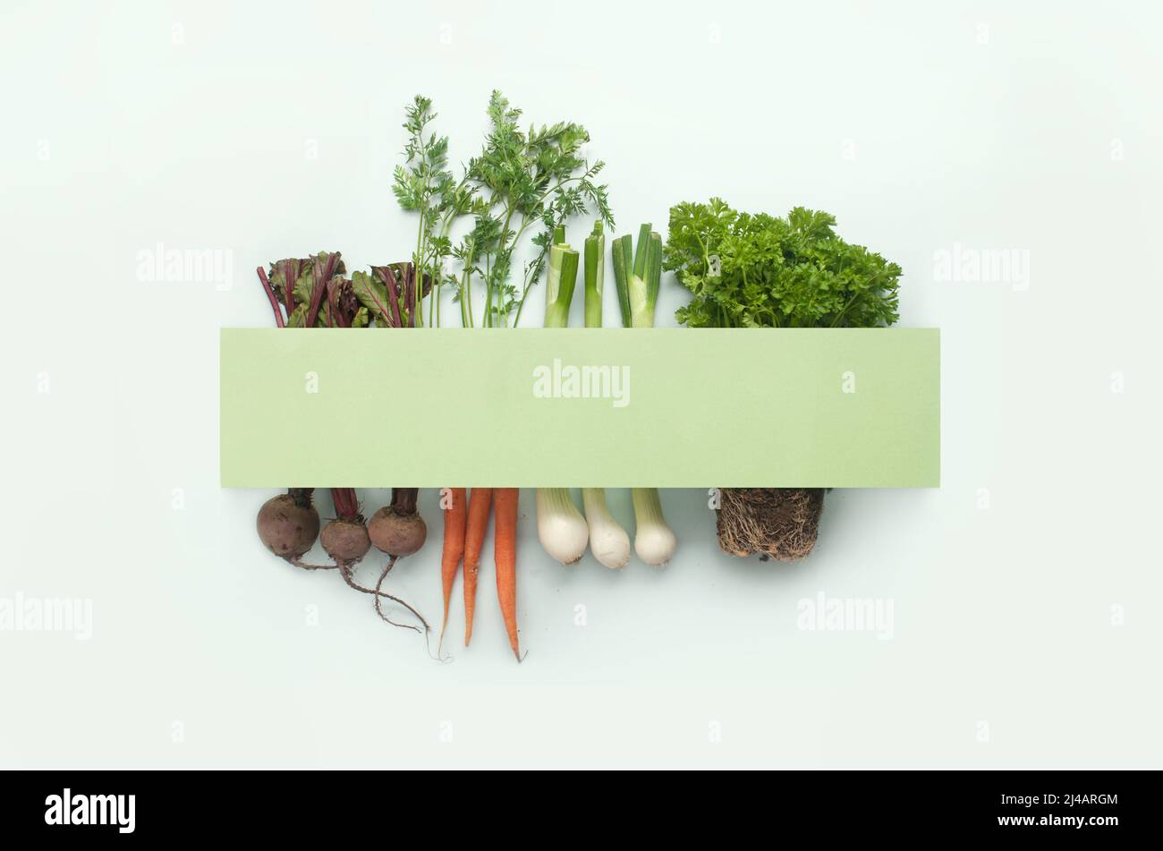 Vegetable roots and herbs underneath paper card with copy space Stock ...