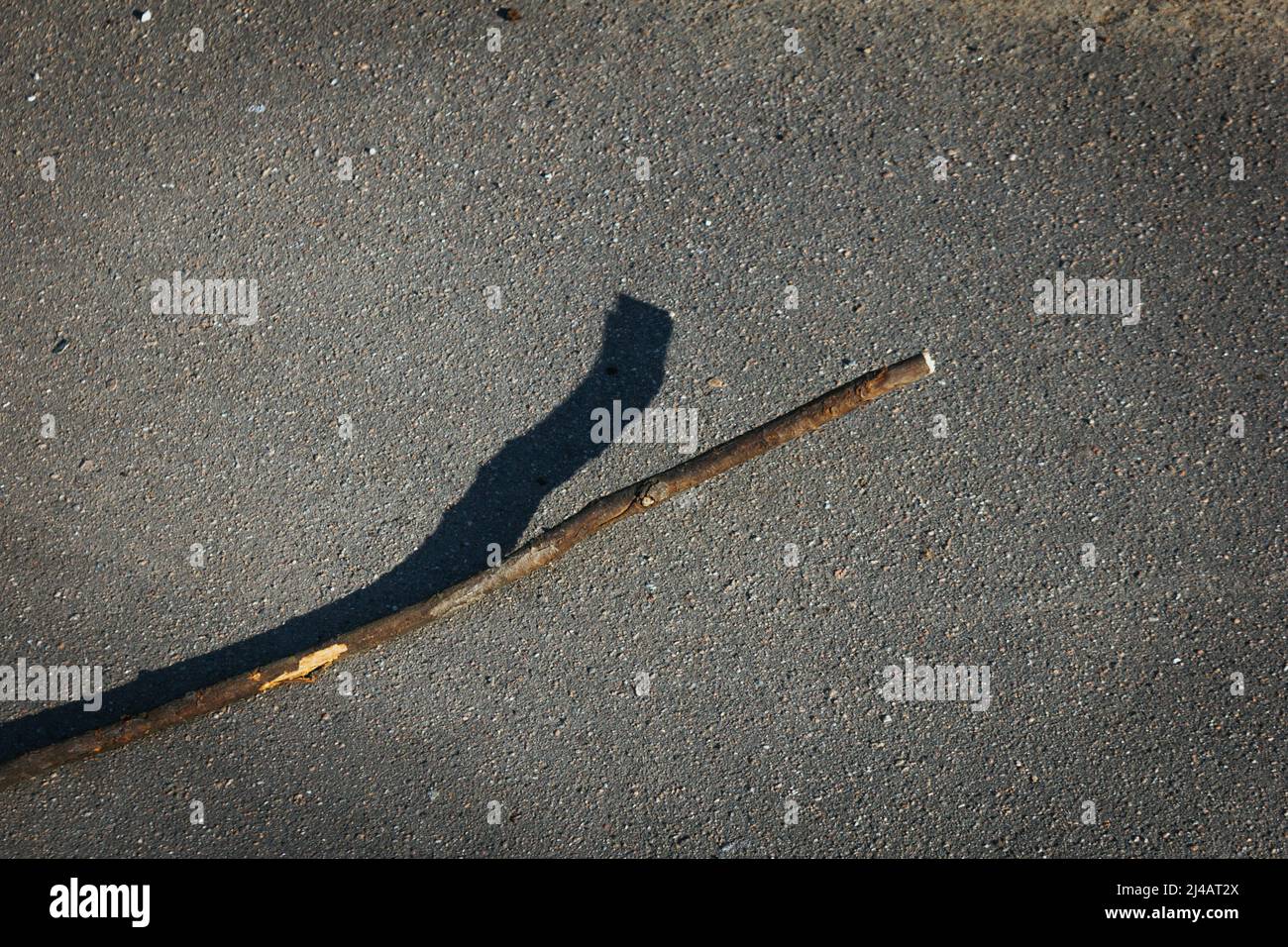 stick shadow asphalt hard light shadows silhouette black Stock Photo ...