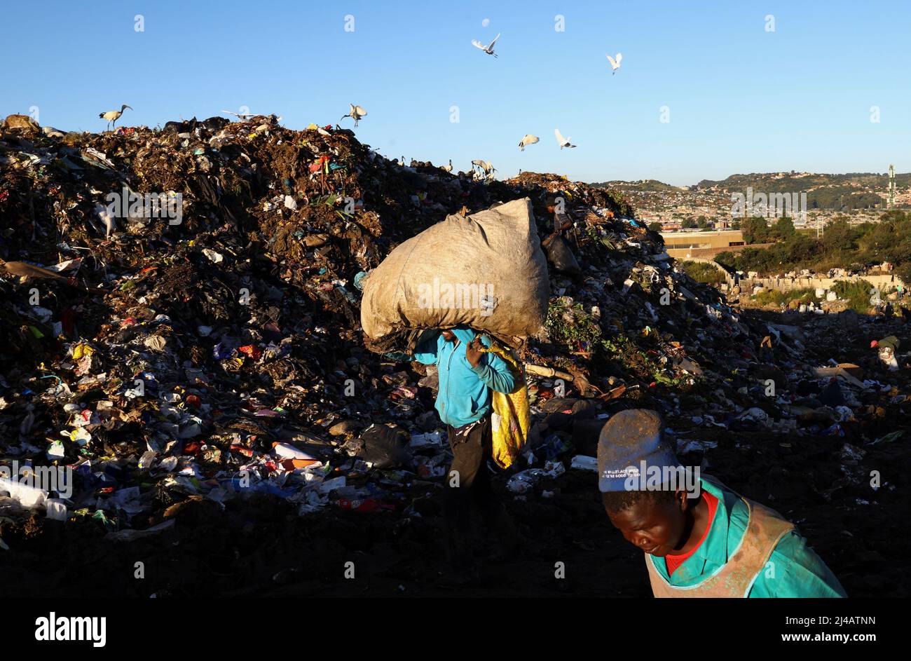 Collecting waste south africa hi-res stock photography and images - Alamy