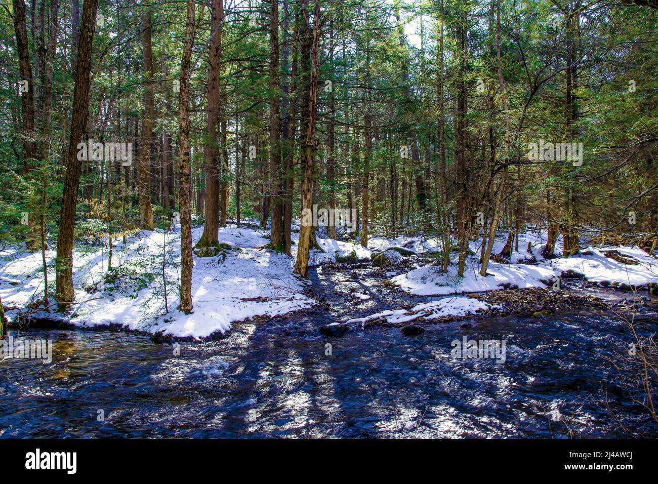 Outdoorstrees hi-res stock photography and images - Alamy