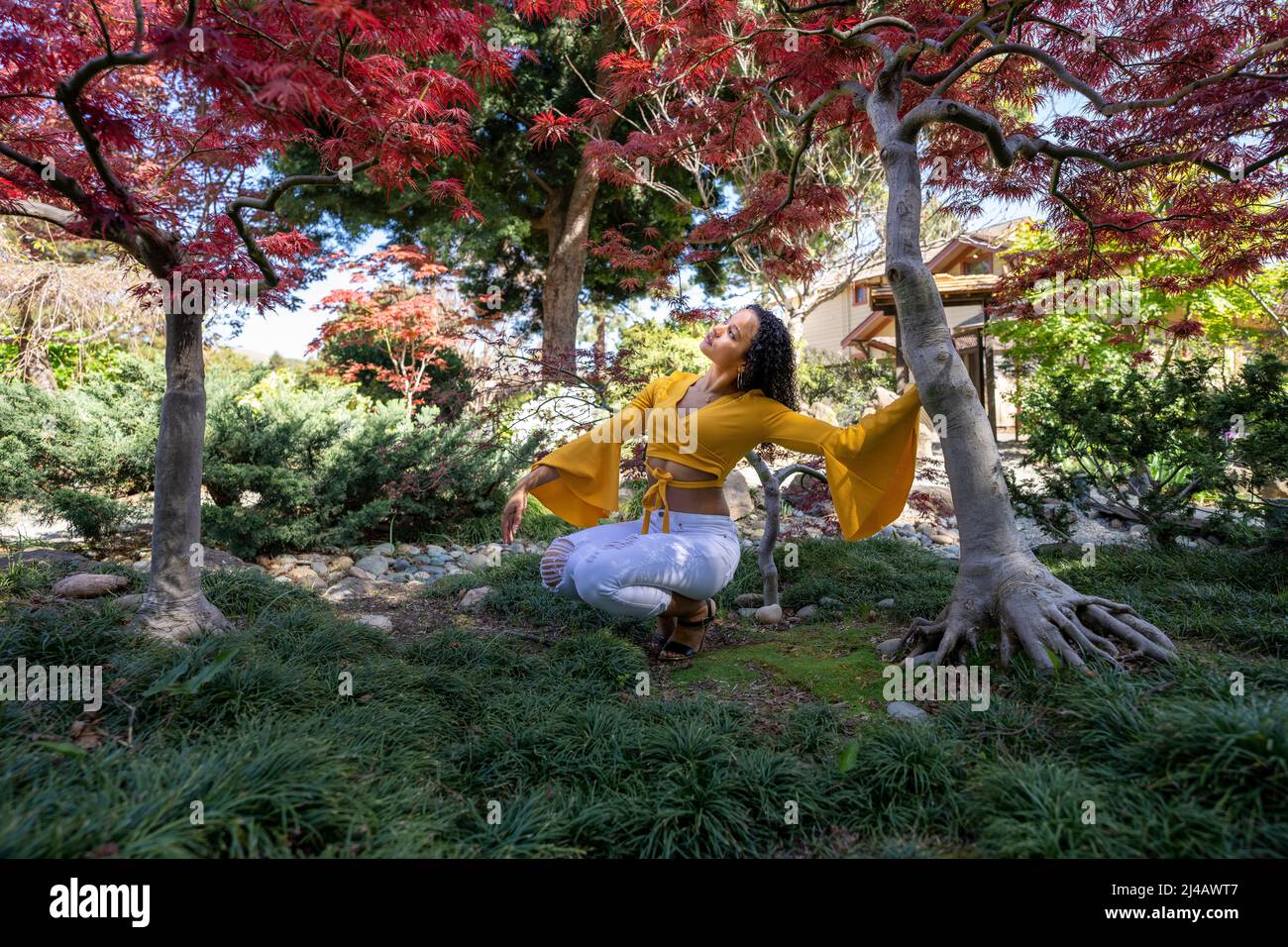 Powerful Portrait of a Beautiful Young Black Woman Under Japanese Maple ...