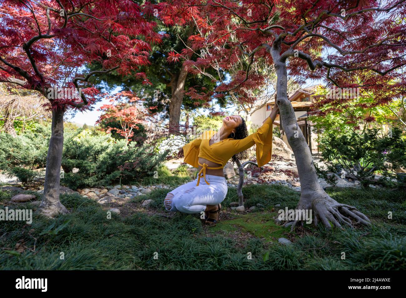 Powerful Portrait of a Beautiful Young Black Woman Under Japanese Maple ...