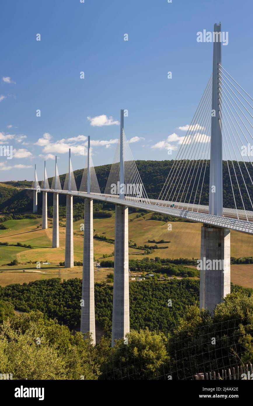 Multi-span cable stayed Millau Viaduct across gorge valley of Tarn ...