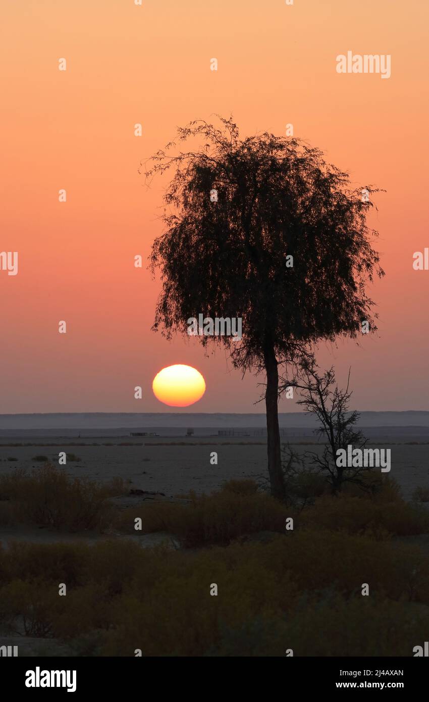 Oman silhouette hi-res stock photography and images - Alamy