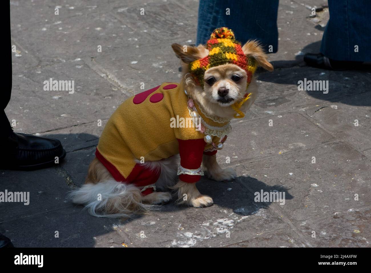 Peru rain lima hi-res stock photography and images - Alamy