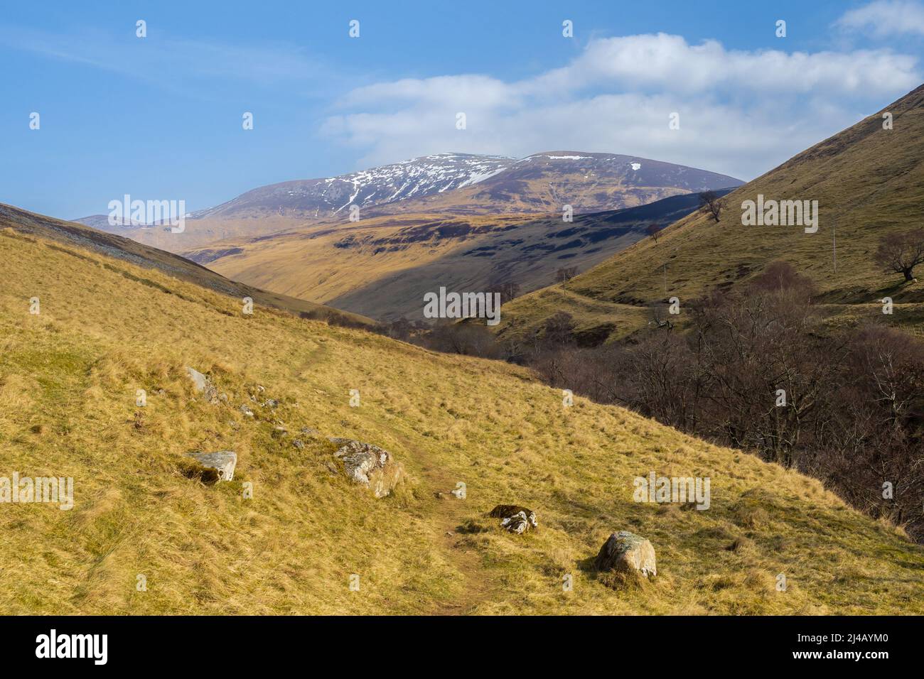 22.03.22 Glen Tilt, Perthshire, Scotland, UK. Glen Tilt is a glen in ...